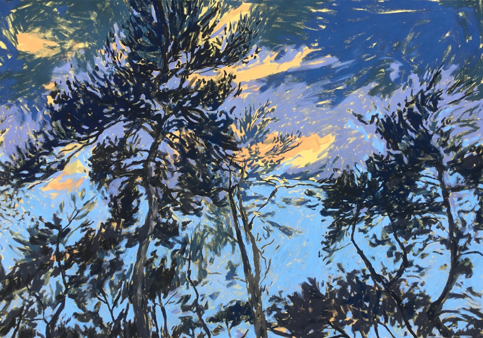 Dying Light, 2020 - Janet Rady Fine Art