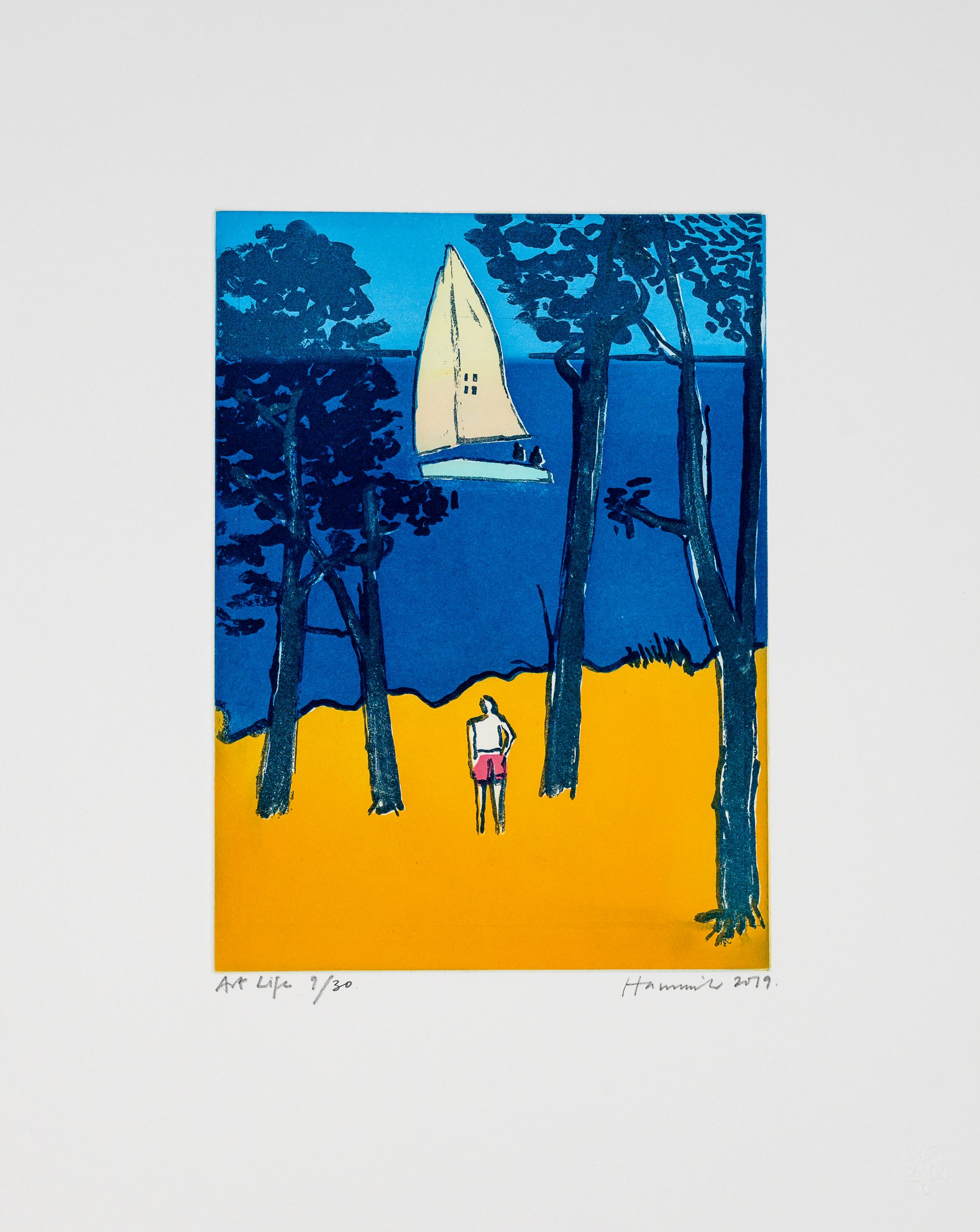 Tom Hammick Collection - Janet Rady Fine Art